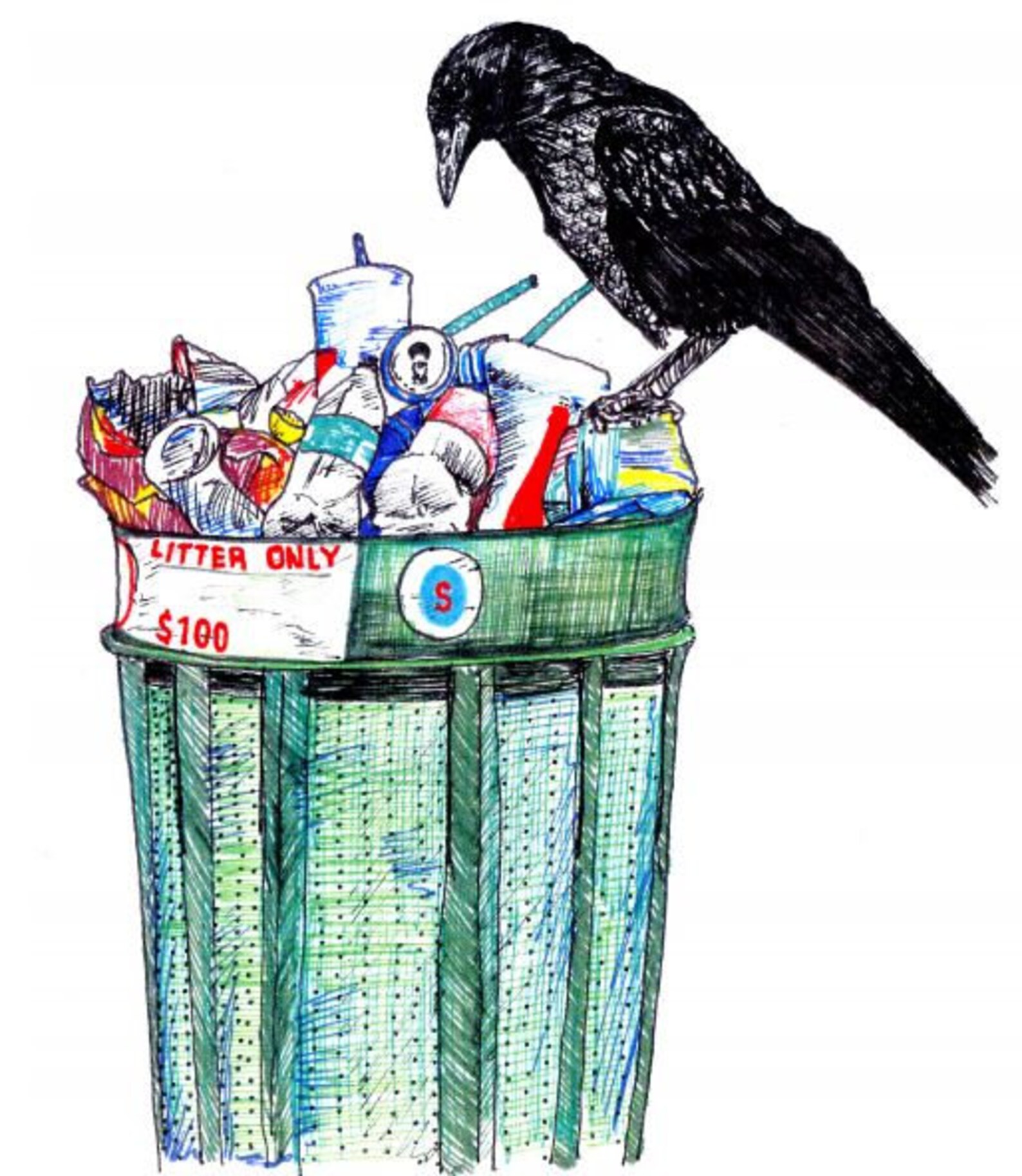 Crow Party Children's Book by London J. Maddison, Illustrated by Nick ...