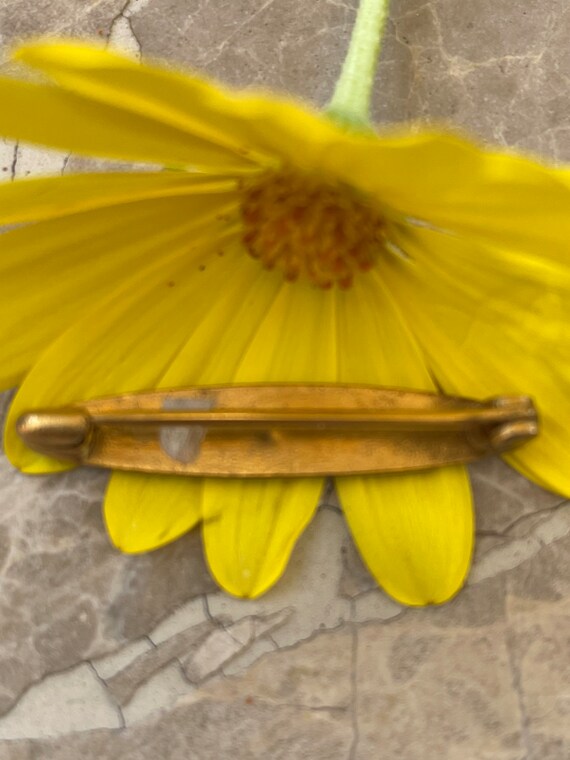 Antique Victorian Lingerie Pin Bar Pin Mourning Bro Gem