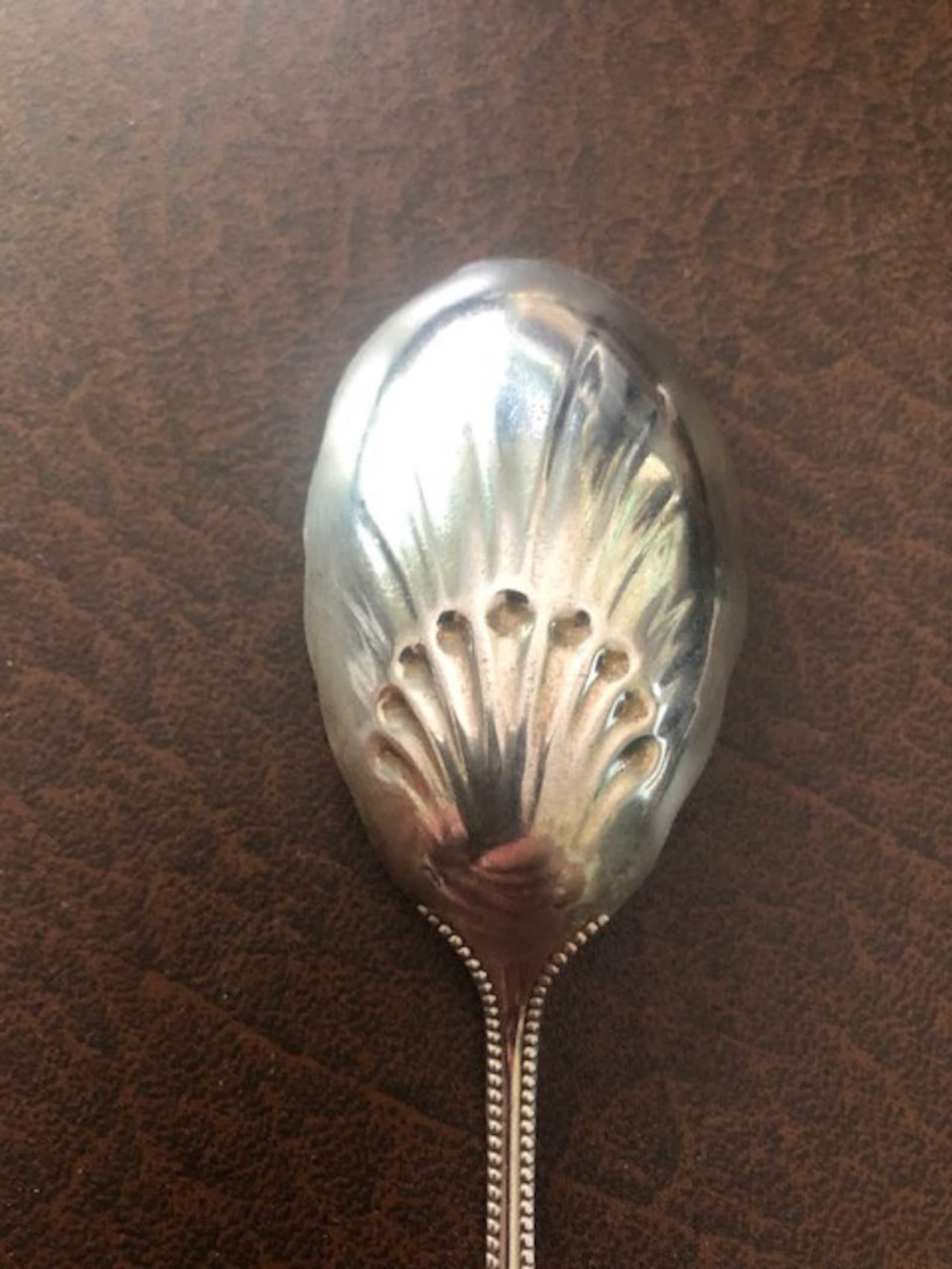 Antique Sterling Silver Sugar Shell, Lancaster Rose Pattern, Gorham ...