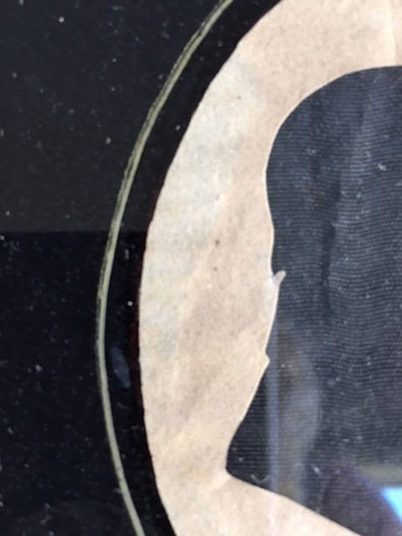 Antique Hollow Cut Silhouette of Gentleman, Black Shiny Fabric or ...