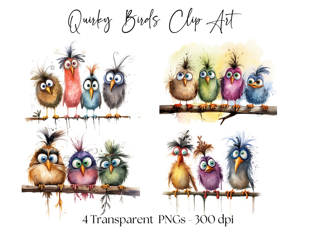 Funny Birds Watercolor Clipart: Quirky PNG Images (digital Download) - Etsy