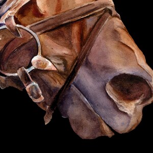 Kentucky Derby Winner Mystic Dan Wins "by A Nose" - Black - Etsy