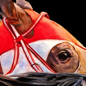 Kentucky Derby Winner Mystic Dan Wins "by A Nose" - Black - Etsy