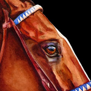 Kentucky Derby Winner Mystic Dan Wins "by A Nose" - Black - Etsy