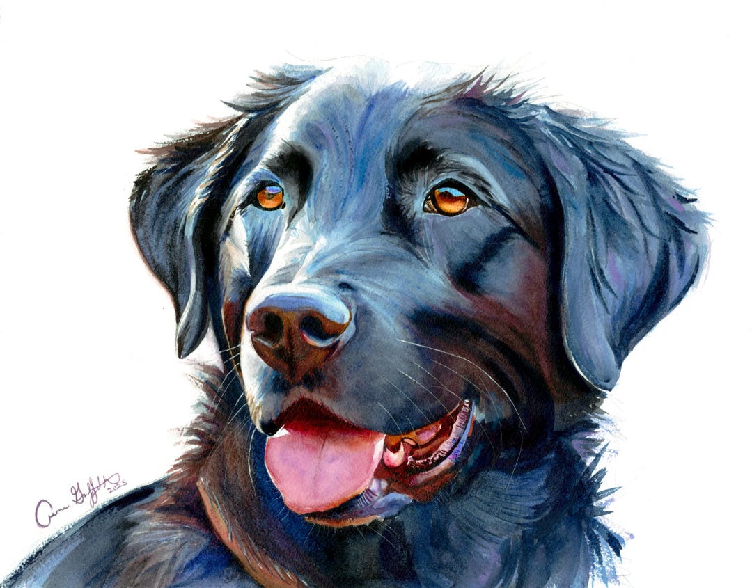 Midnight Blue: Loyal Smile of a Black Labrador, Black Lab Art Print ...