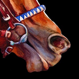 Kentucky Derby Winner Mystic Dan Wins "by A Nose" - Black - Etsy