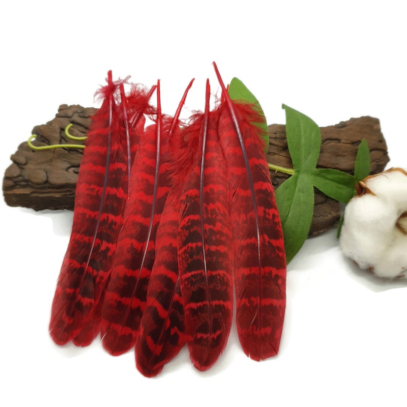 Zebra Feathers - Etsy