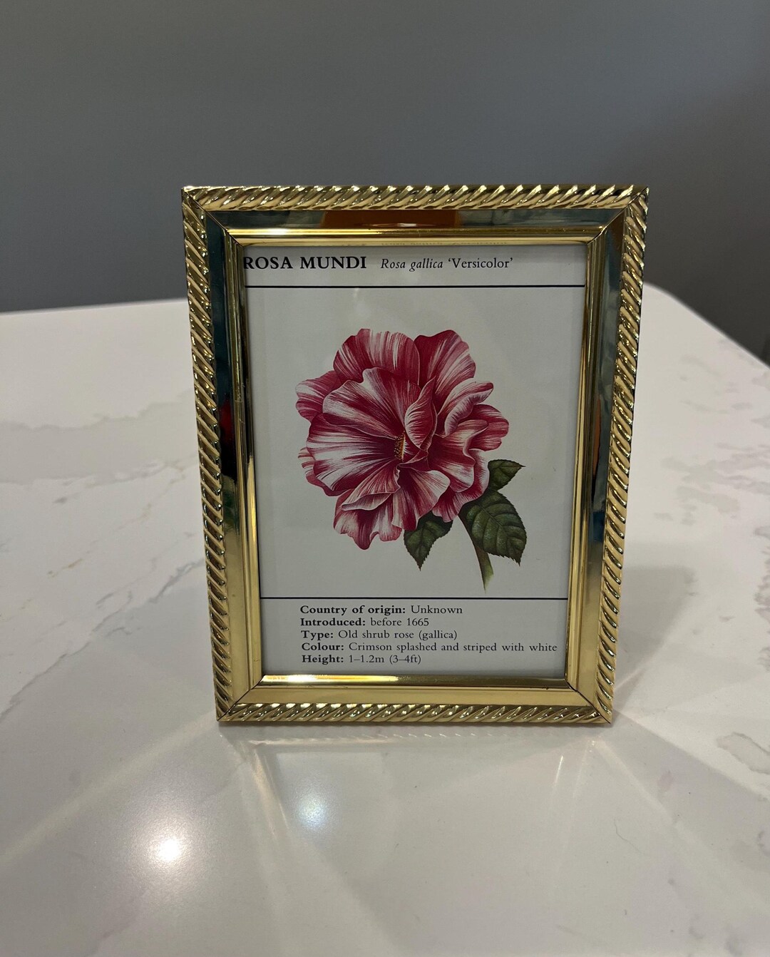 Vintage Hallmark Brass 3.5x5 Photo Frame, Gold Picture Frame ...