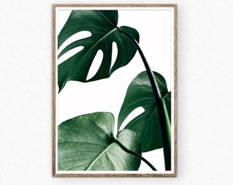 Leaf poster | Etsy