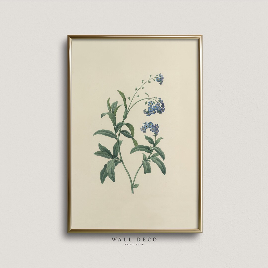 Vintage Blue Wildflower Botanical Print: Watercolor Floral Art (digital ...