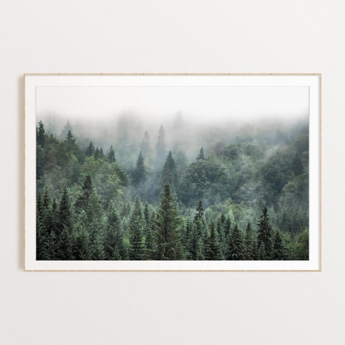 Forest Print Digital Download Forest Printable Wall Art Home - Etsy