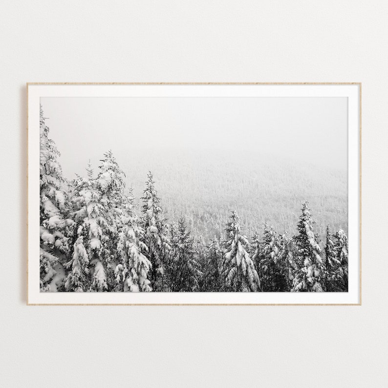 Snowy Pine Trees Print Winter Forest Photography Nordic - Etsy