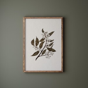 Neutral Floral Drawing Art, Minimalist Flowers Print, Vintage Botanical ...