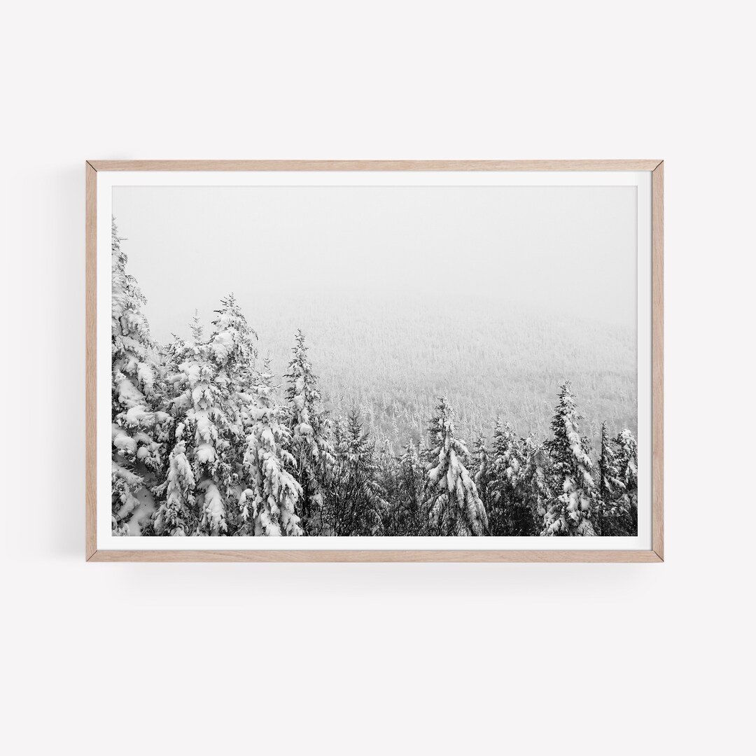 Snowy Pine Trees Print, Winter Forest Photography, Nordic Poster ...