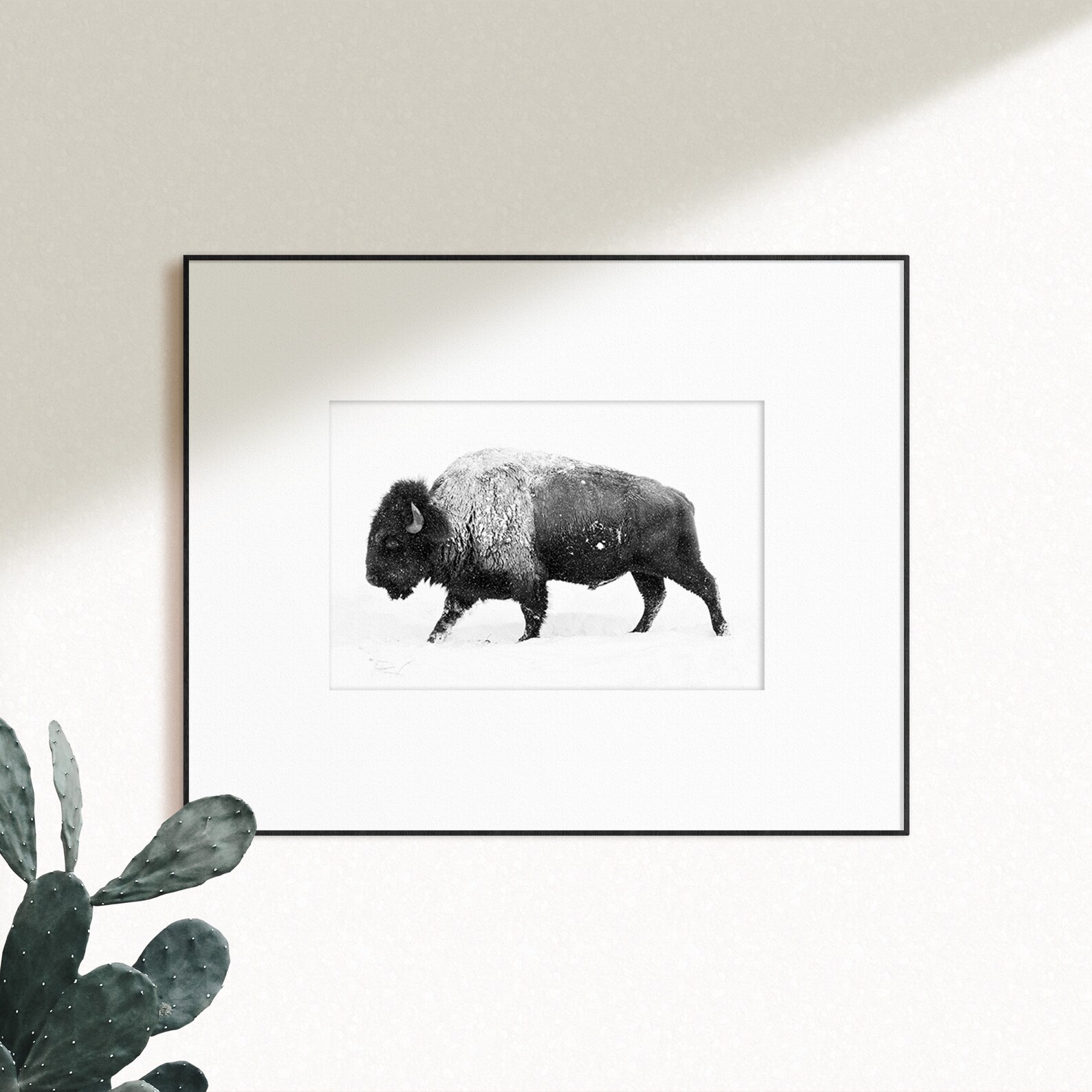 Black and White Buffalo Print Bison Wall Art DIGITAL - Etsy