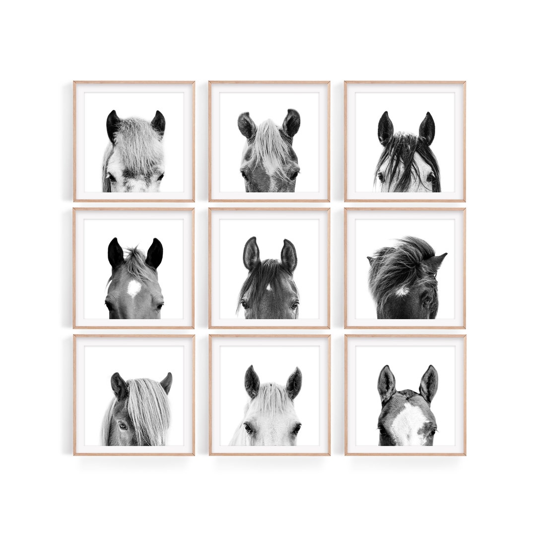 Set of 9 Square Horse Prints, Black and White Horses Portraits Gallery ...