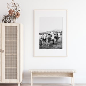 Cow Black and White Print, Farmhouse Decor, Farm Animals Wall Art ...