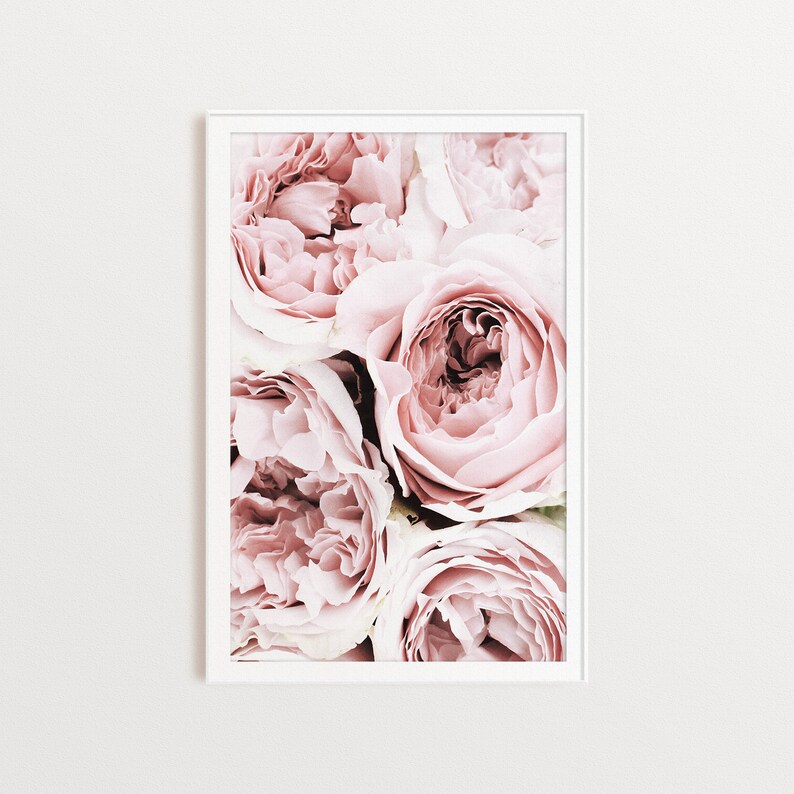 Set Of 3 Blush Pink Peonies Prints Peony Print Floral Print Etsy