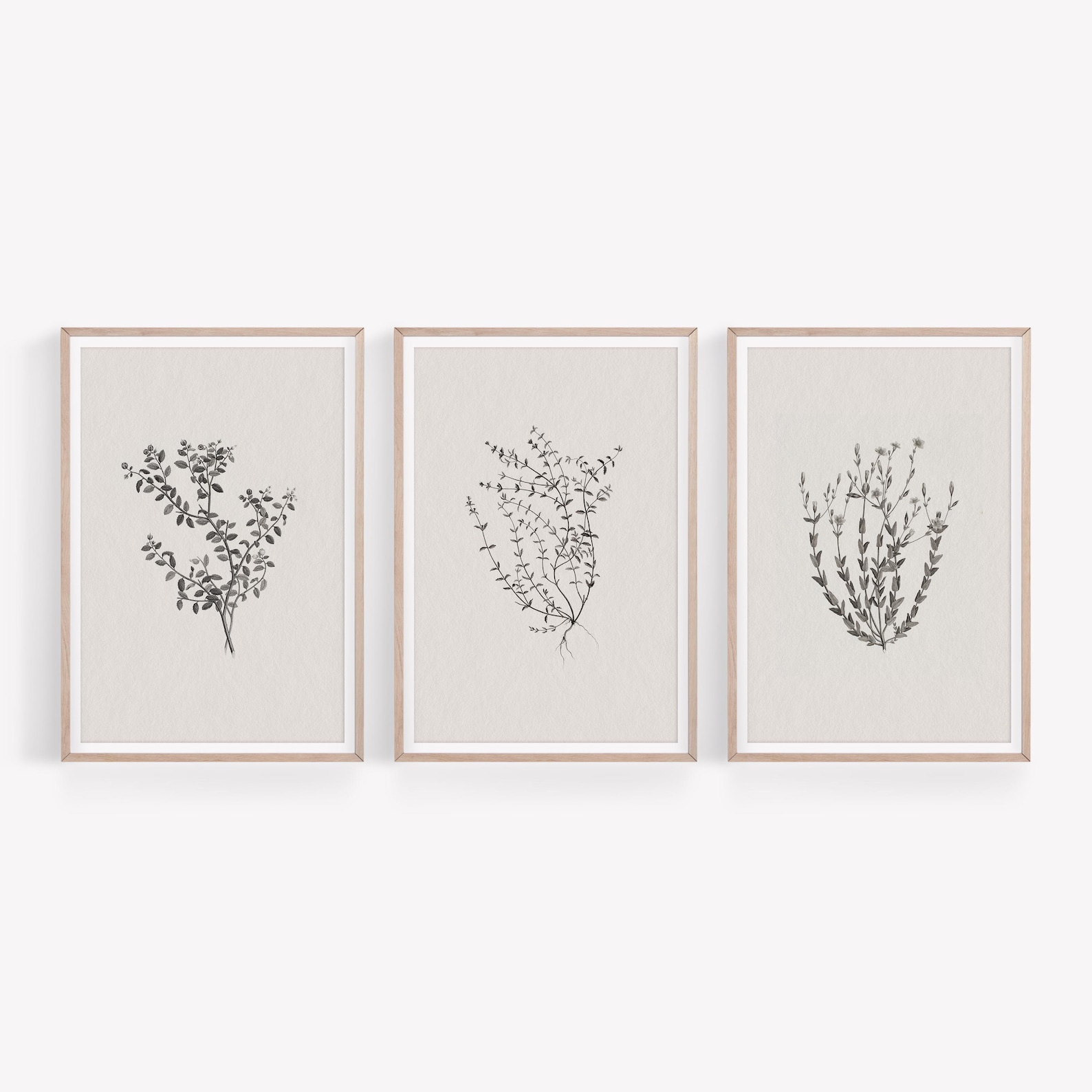 Vintage Botanical Print Set: Minimalist Farmhouse Gallery Wall (digital ...