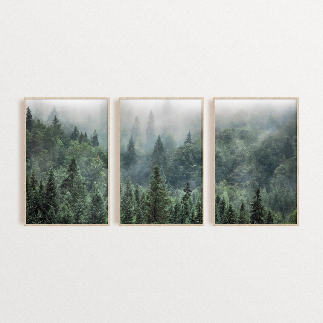 Set of 3 Forest Prints Pine Trees Wall Art Set of 3 Nature Photography ...