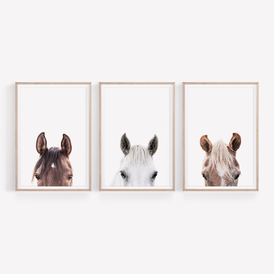Set of 3 Horses Prints Horses Portraits Wall Art Set DIGITAL - Etsy