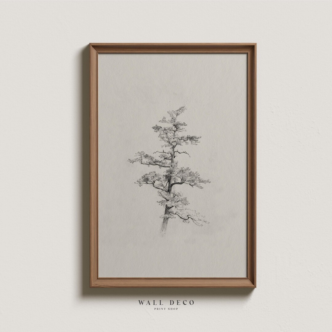 Vintage Pine Tree Sketch Print: Minimalist Farmhouse Wall Art (digital ...
