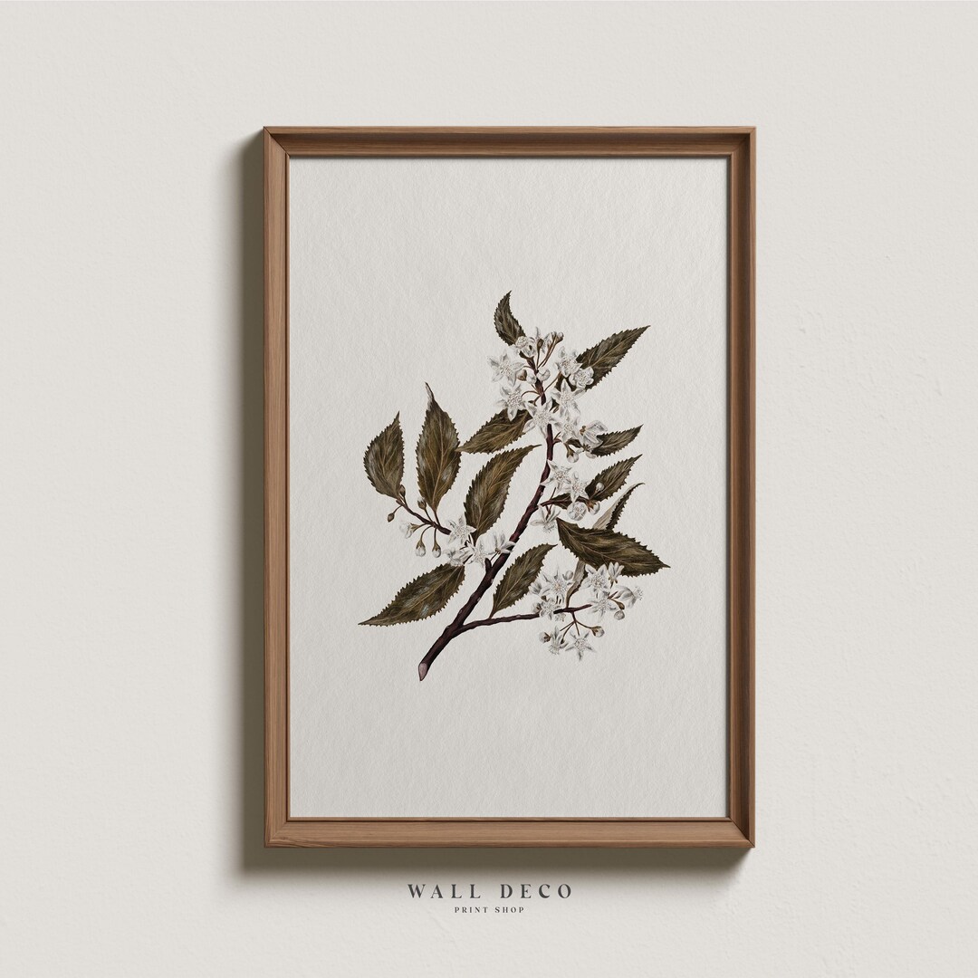 Neutral Floral Drawing Art, Minimalist Flowers Print, Vintage Botanical ...