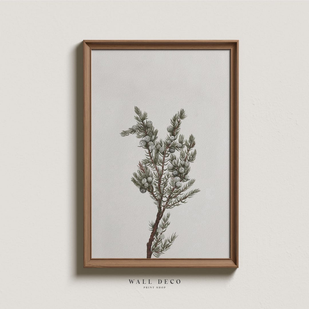 Minimalist Winter Branch Botanical Art Print, Vintage Tree Branch ...