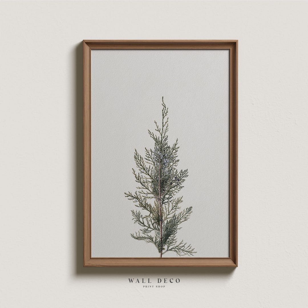 Vintage Juniper Botanical Wall Art, Country Christmas Holiday Art Print ...