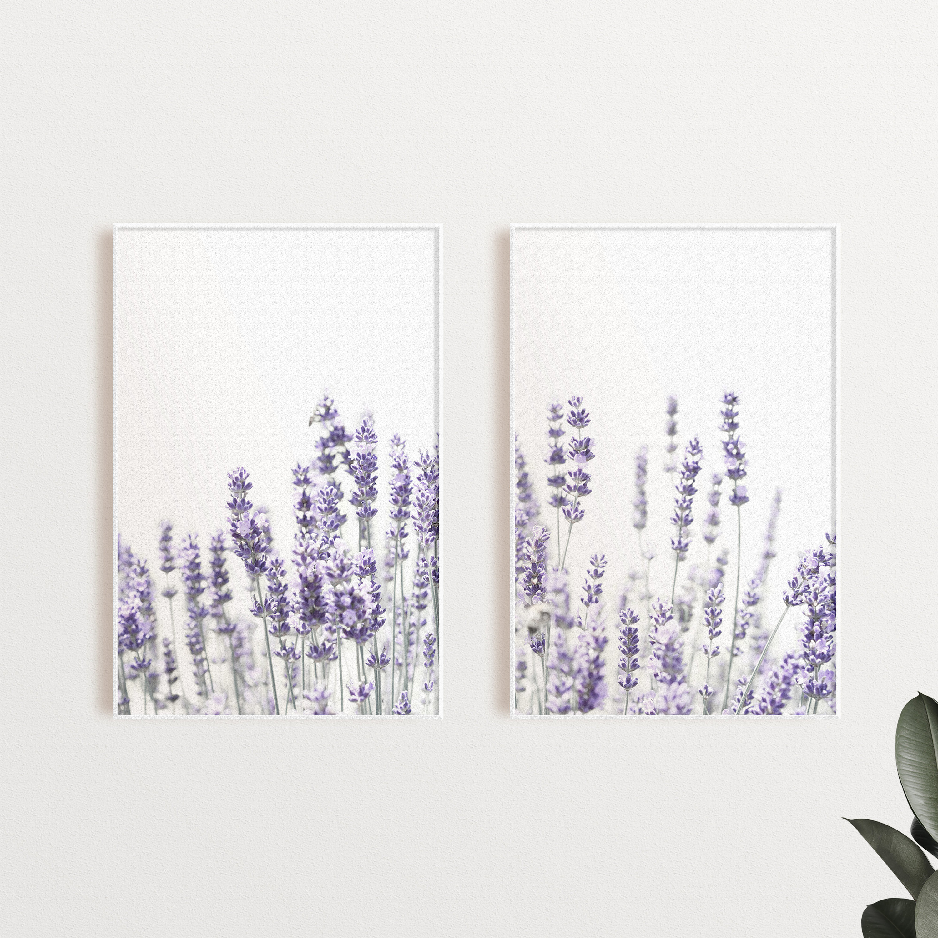 Lavender Prints Set Botanical Set of 2 Wall Art Farmhouse - Etsy