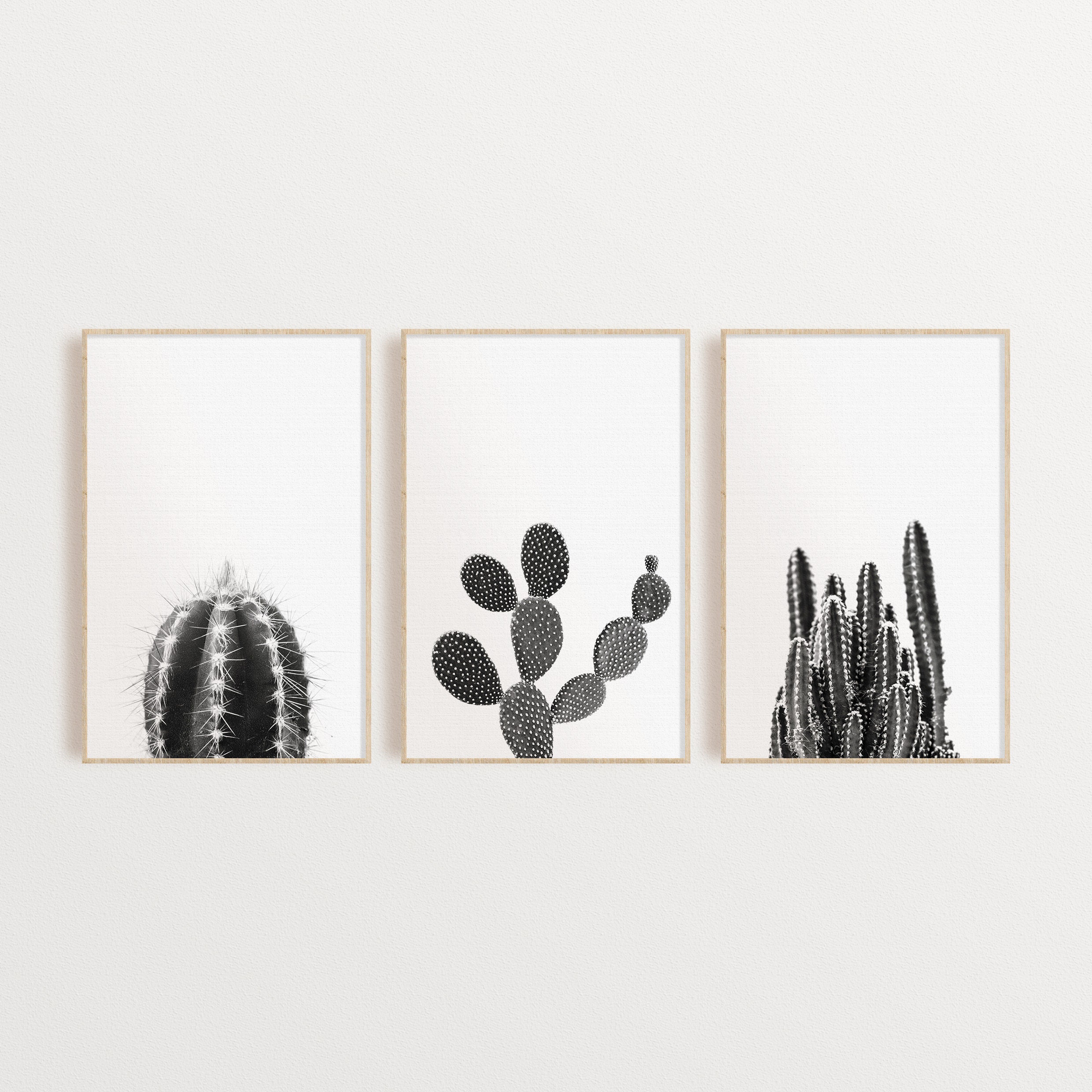 Cactus Prints Set Botanical Set of 3 Wall Art Cactus Wall - Etsy