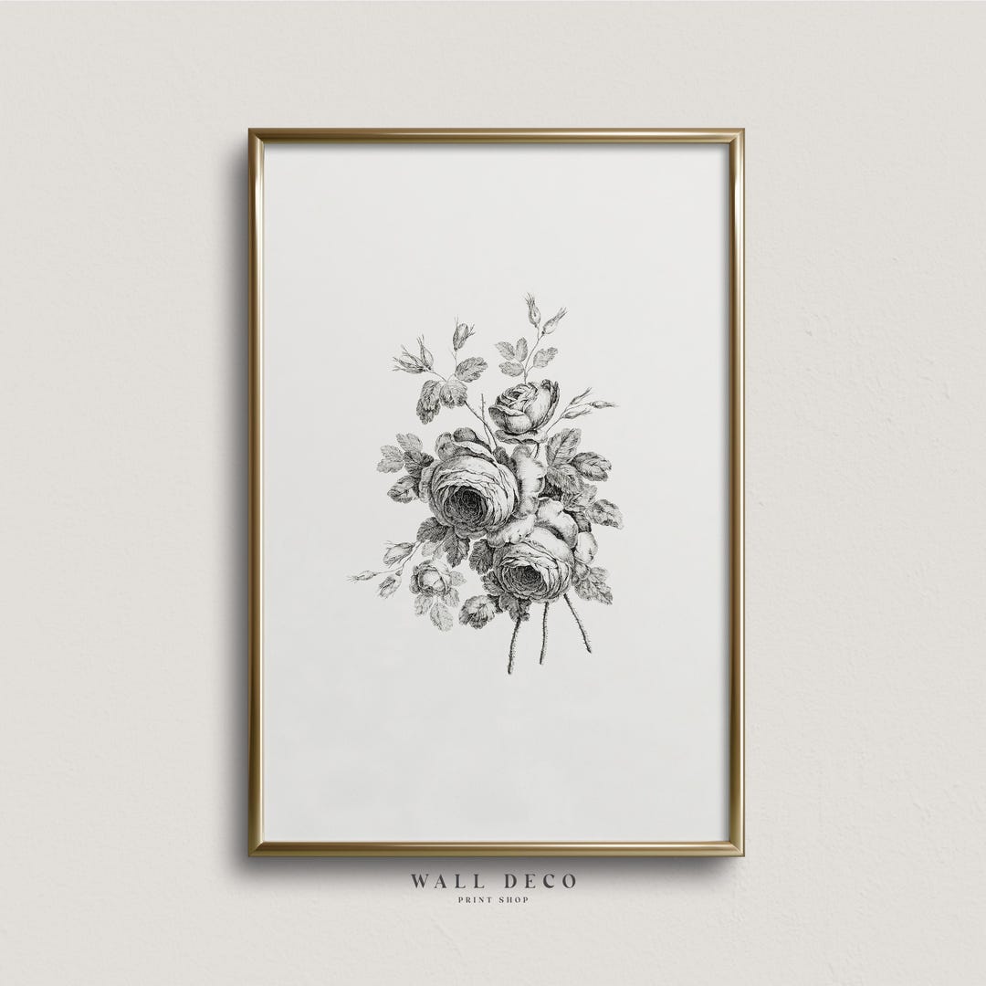 Vintage Floral Drawing Print: Antique Botanical Art (digital Download ...