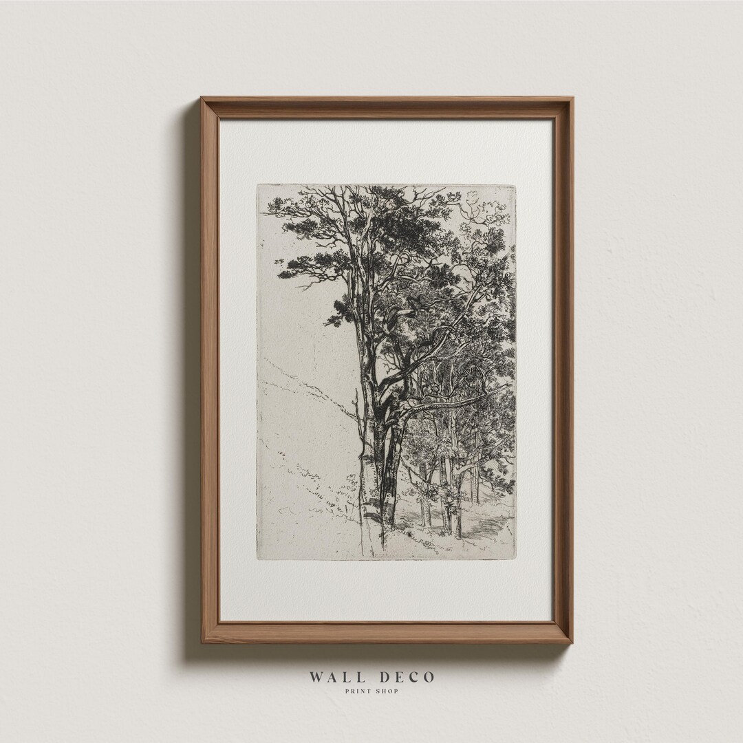 Vintage Forest Etching: Monochrome Tree Art (digital Download) - Etsy