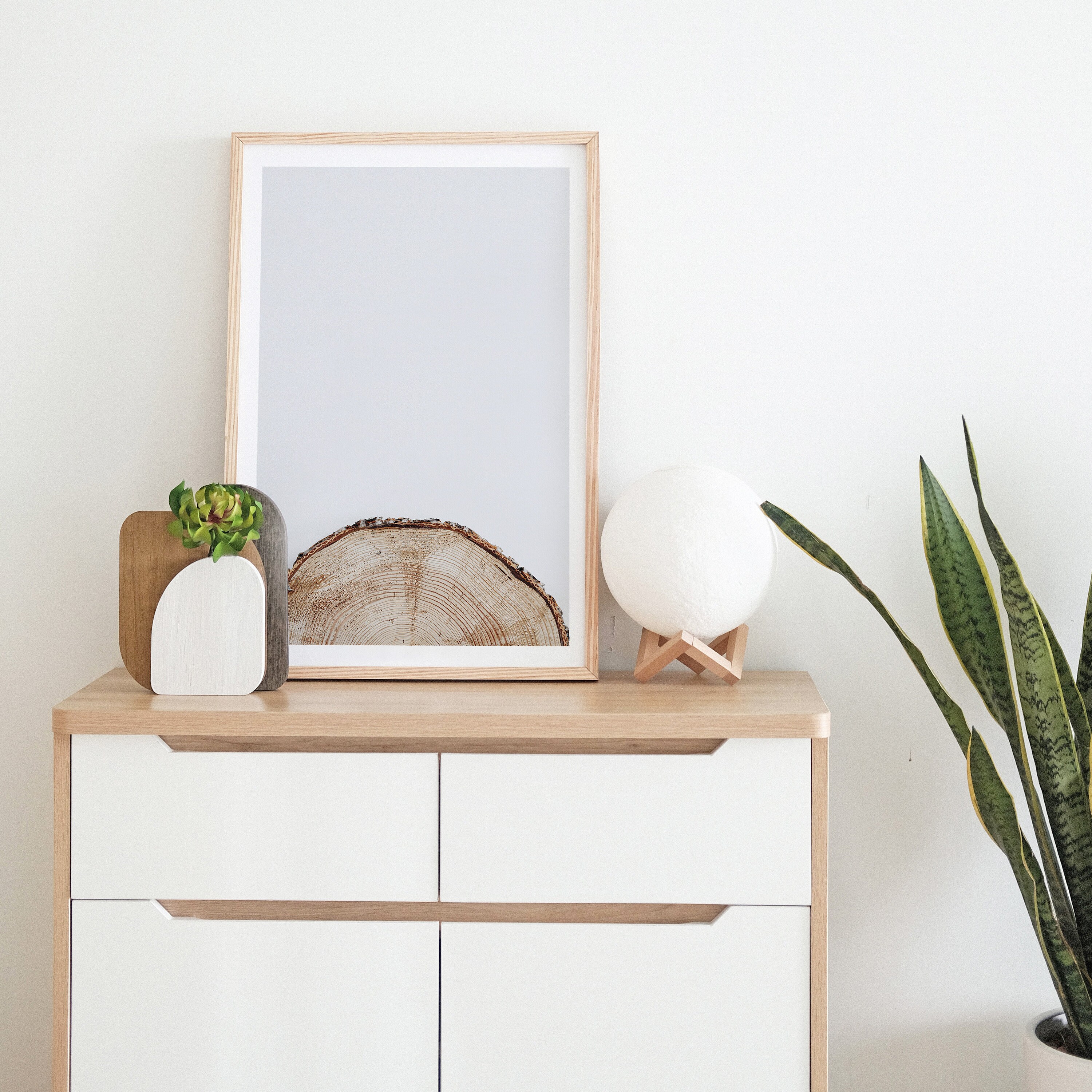 Tree Rings Print Tree Rings Wall Art Rustic Wall Decor | Etsy