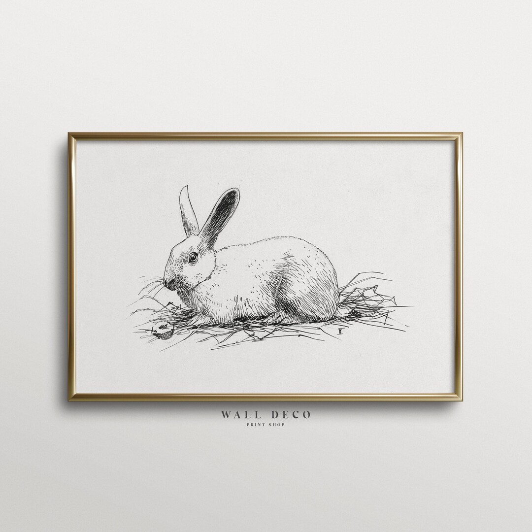 Vintage Rabbit Drawing Print, Animal Art Sketch, Modern Farmhouse ...