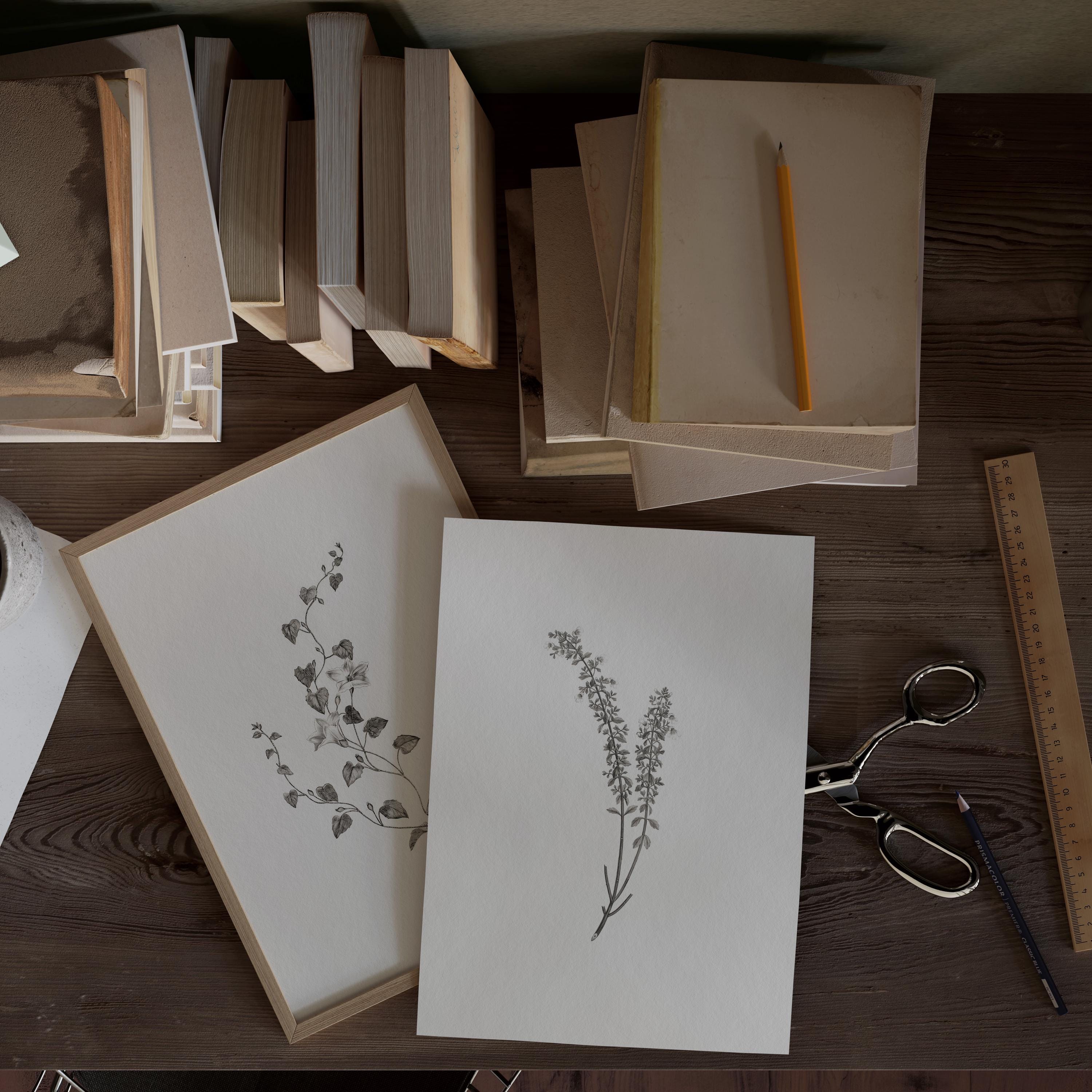 Vintage Botanical Print Set: Minimalist Farmhouse Gallery Wall (digital ...