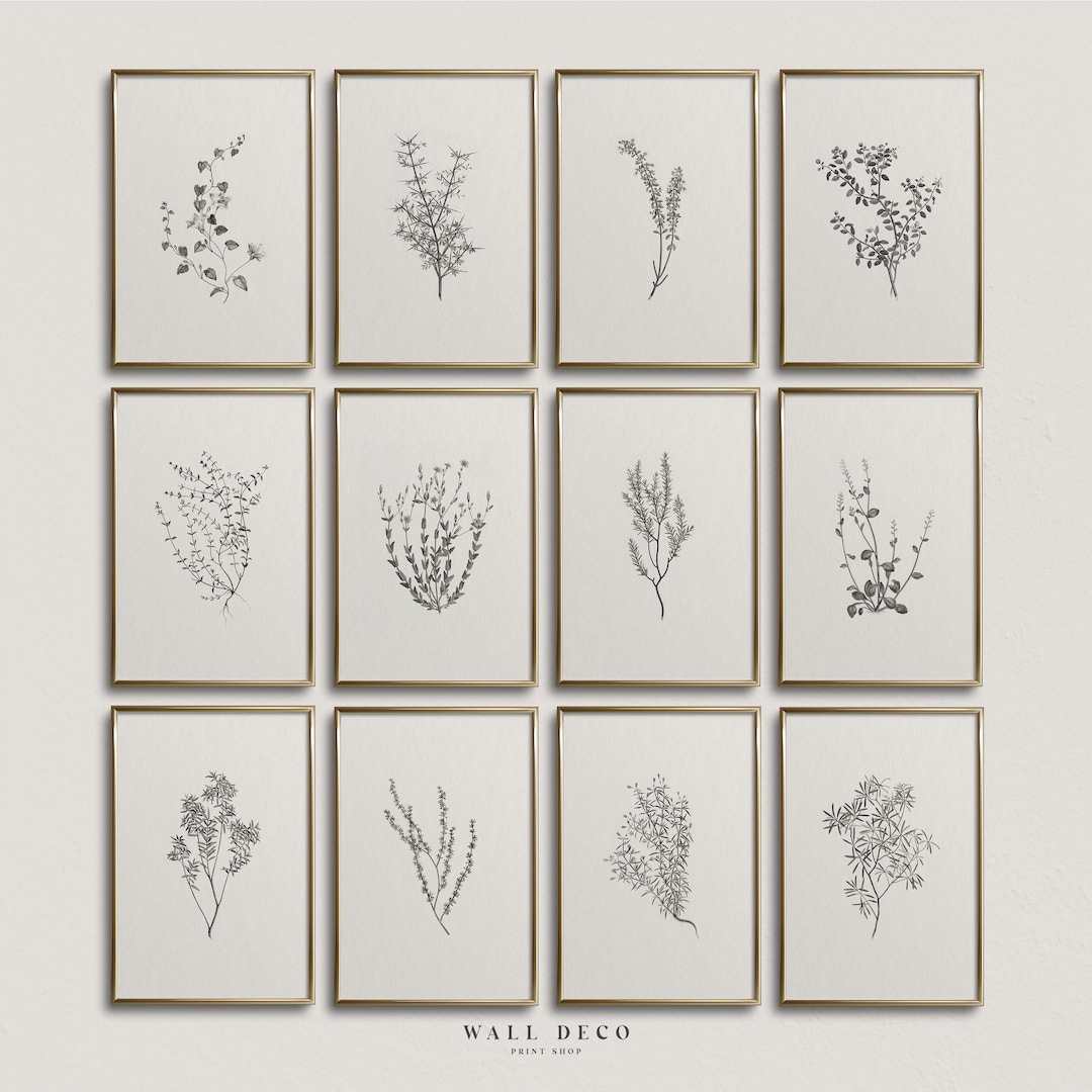 Vintage Botanical Print Set: Minimalist Farmhouse Gallery Wall (digital ...