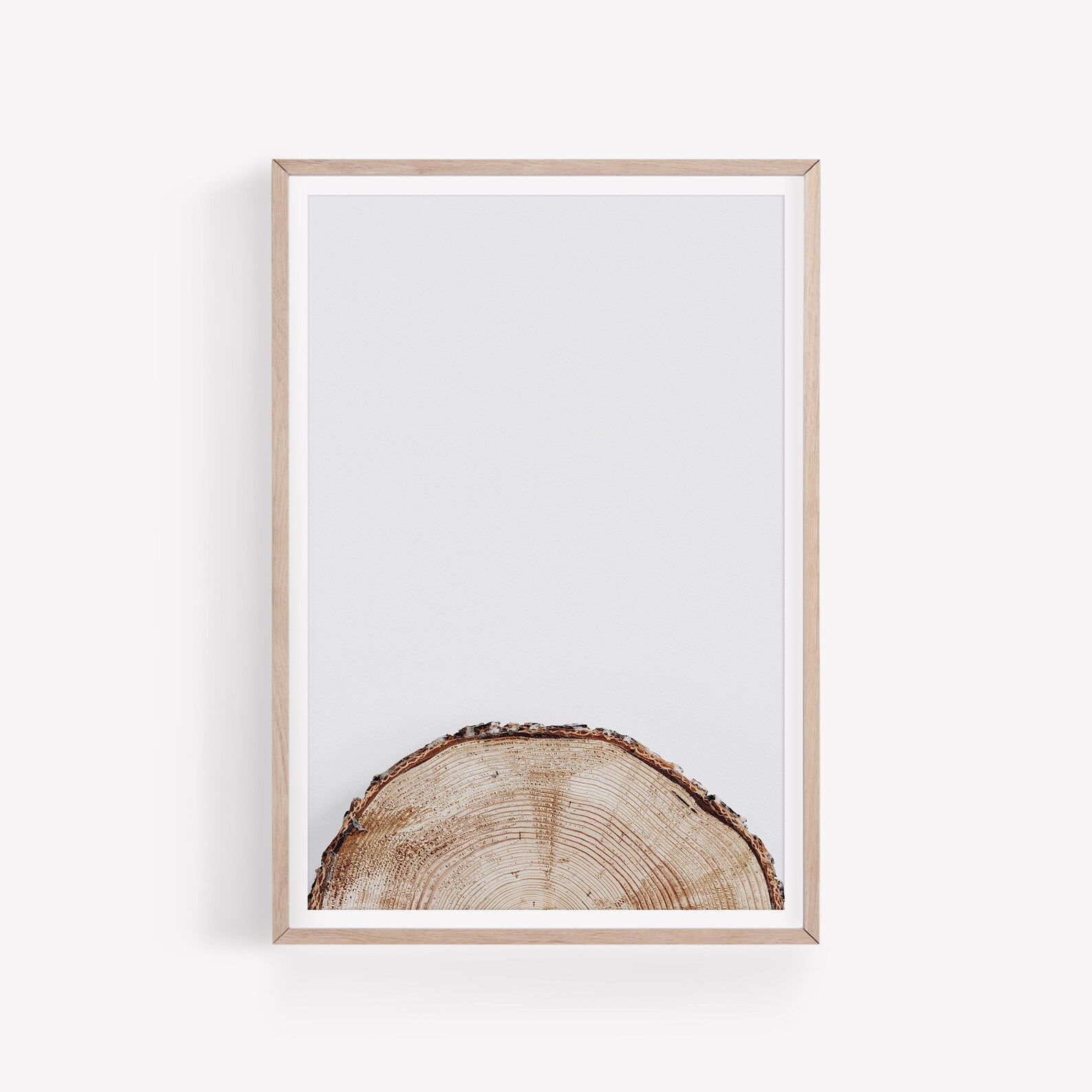 Tree Rings Print Tree Rings Wall Art Rustic Wall Decor - Etsy