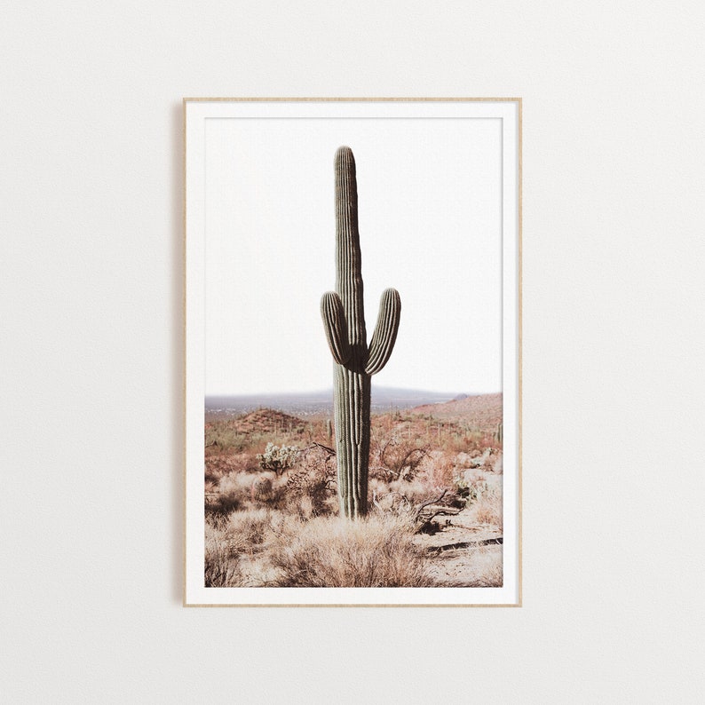 Boho Desert Set of 3 Prints PRINTABLE WALL ART Southwestern | Etsy