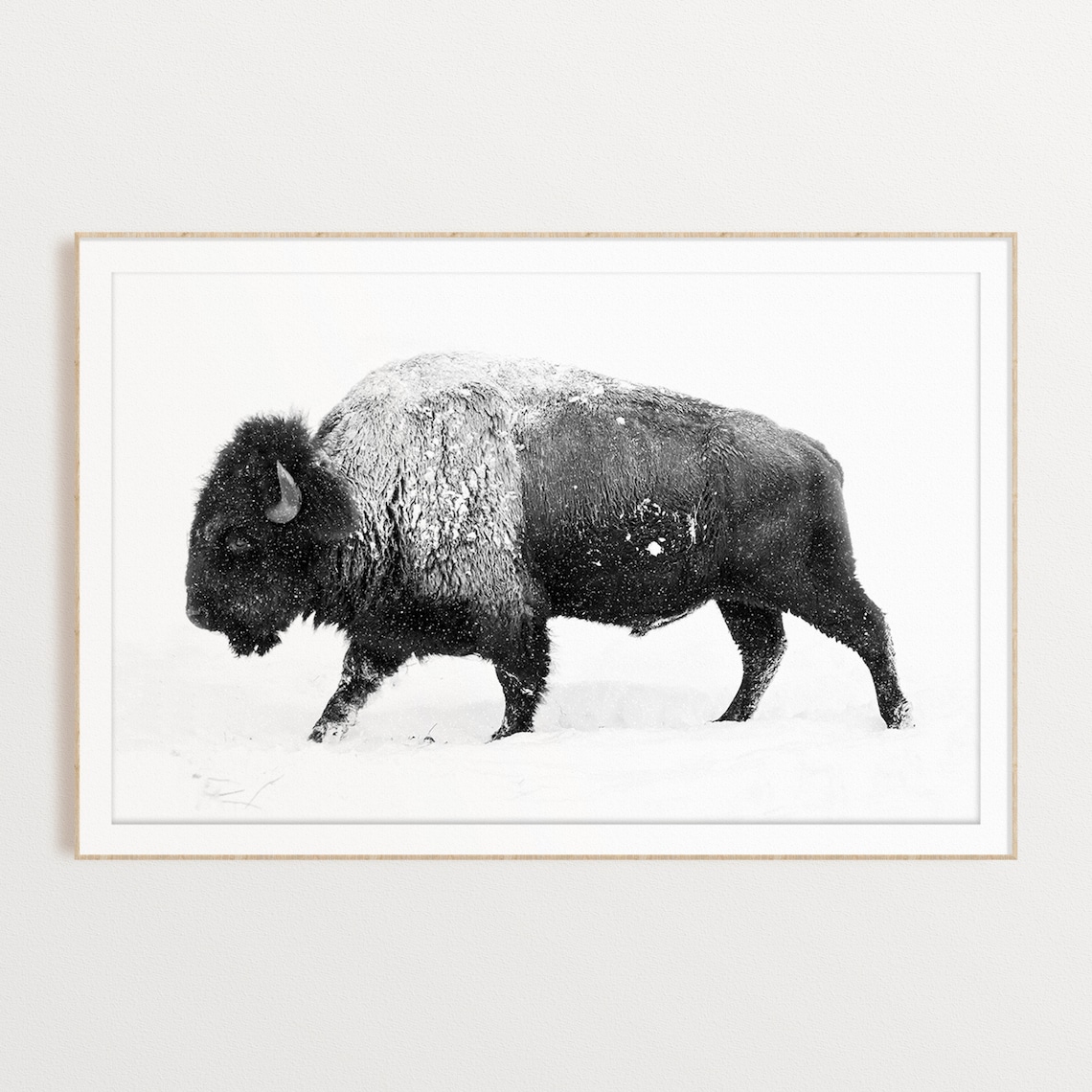Black and White Buffalo Print Bison Wall Art DIGITAL - Etsy