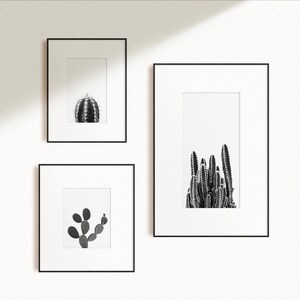 Cactus Prints Set Botanical Set of 3 Wall Art Cactus Wall - Etsy