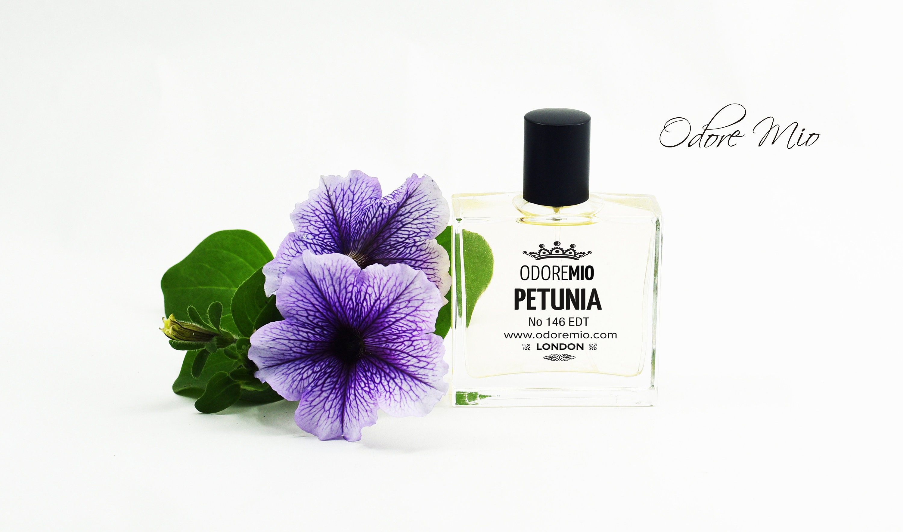Odore Mio Petunia Eau de Toilette Luxury Floral Perfume For | Etsy Odore Mio Petunia Eau de Toilette Luxury Floral Perfume For | Etsy