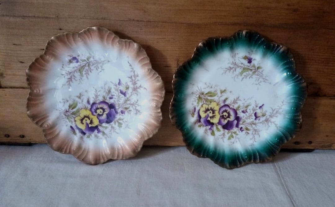 Set of 2 Antique Porcelain Plates / Vintage Plates / Floral Décor ...