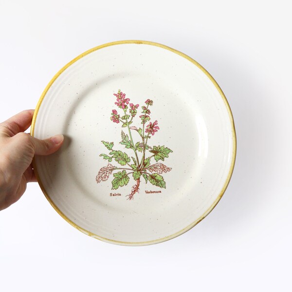 Botanical Plates - Etsy