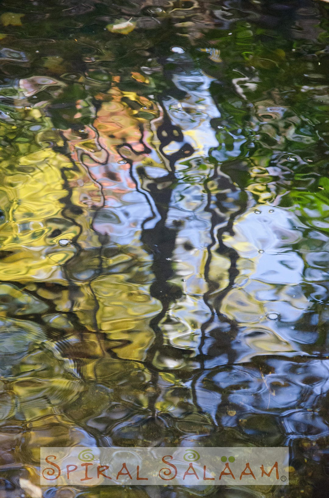 Spindly Trees - Etsy