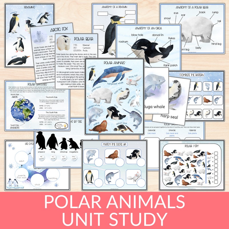 Polar Animals - Etsy