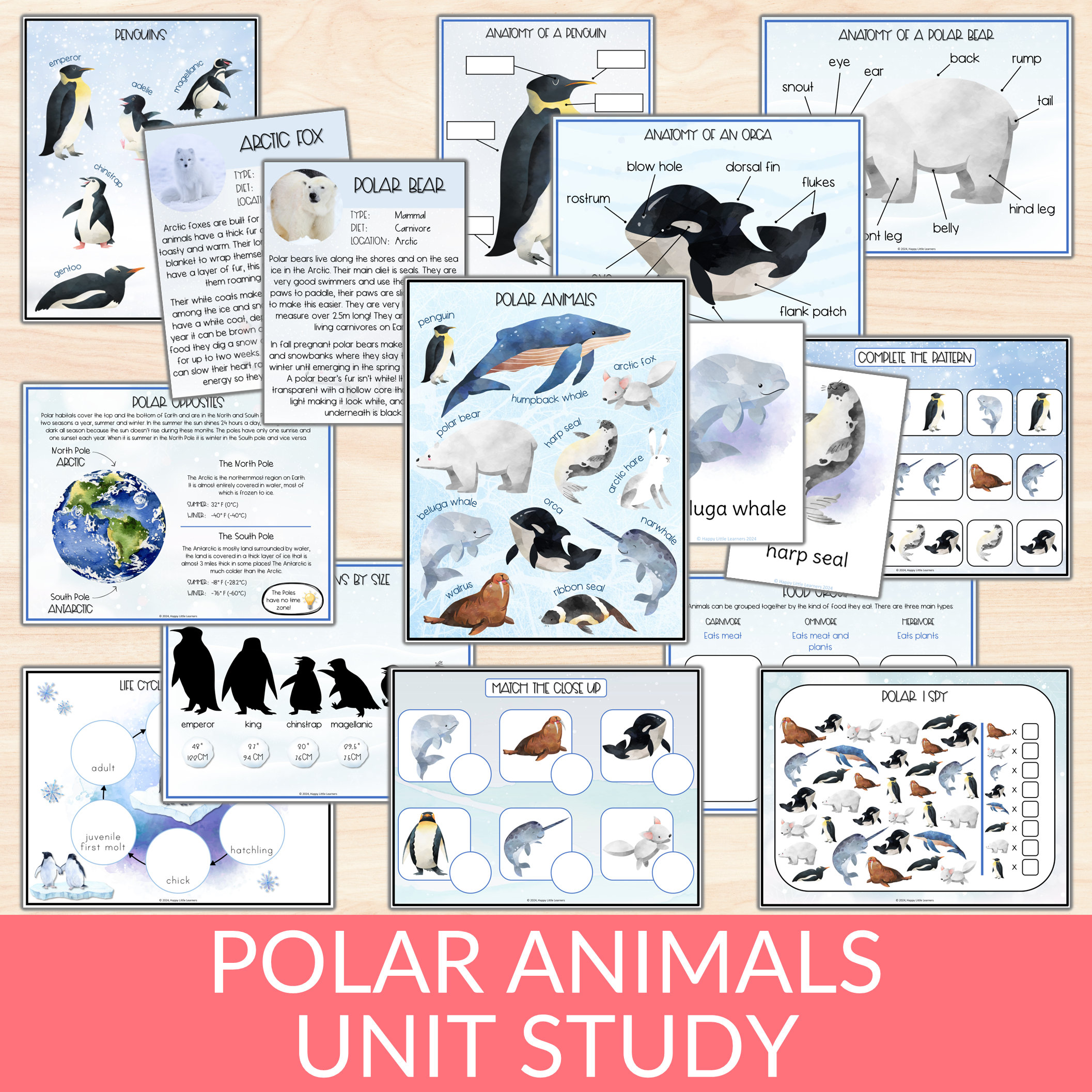 Polar Animal Learning Pack, Arctic Animals Unit Study, Winter Penguin ...