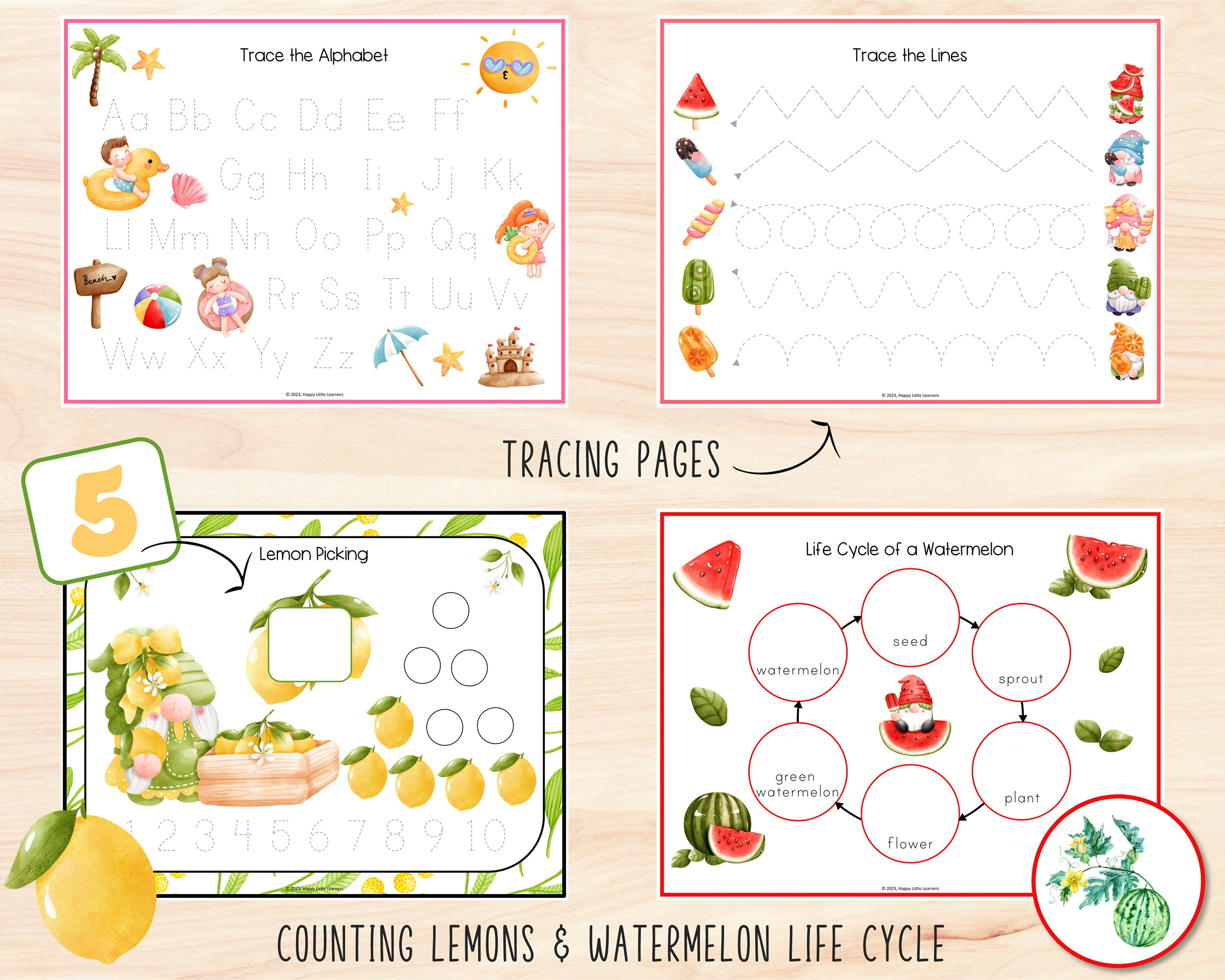 Summer Busy Book Printable, Homeschool Busy Book for Kids, Seasons ...