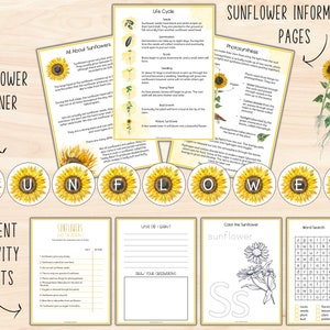 Sunflower Unit Study Bundle Sunflower Life Cycle & Anatomy - Etsy