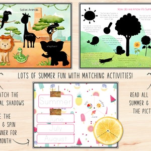 Summer Busy Book Printable, Homeschool Busy Book for Kids, Seasons ...